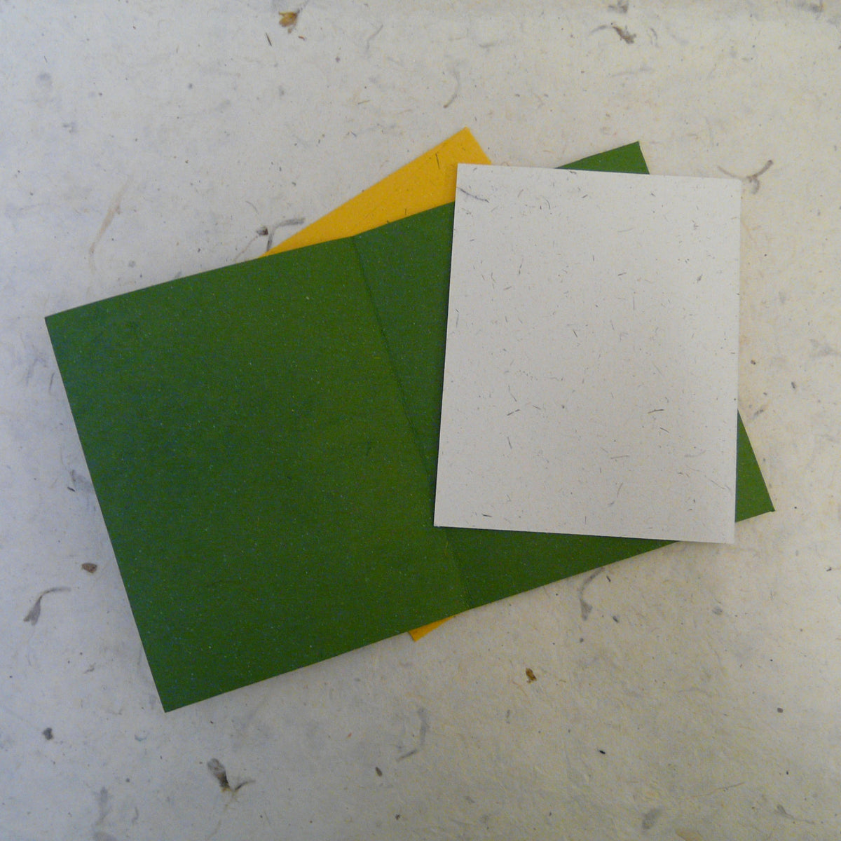 Green Eco-friendly Handmade Elephant Dung Paper Eco Maximus Card – fair2all